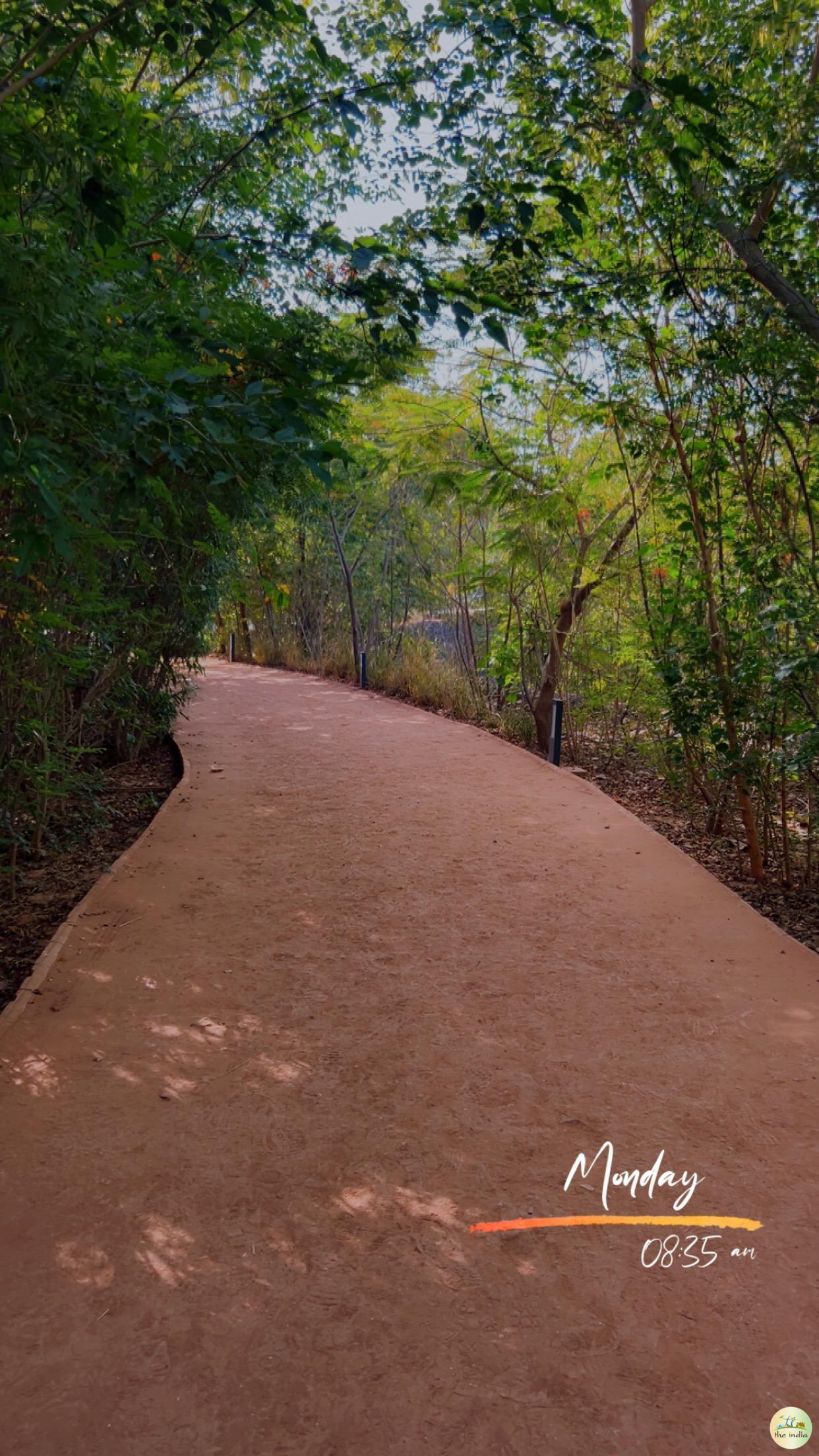 Monte Carlo Oxygen Park in Ahmedabad - Timings, Location, and How to Reach